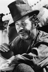 Warren Oates Movie Trailers List | Movie-List.com