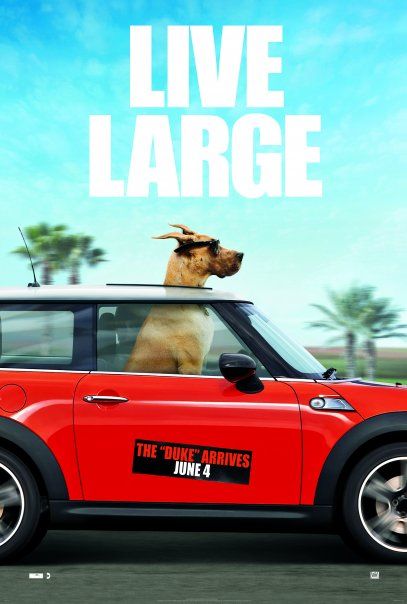 Marmaduke (2010) Movie Trailer | Movie-List.com