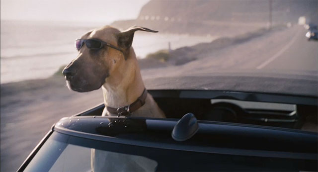 Marmaduke (2010) Movie Trailer | Movie-List.com