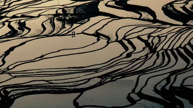 Watermark (2014) Movie Trailer | Movie-List.com